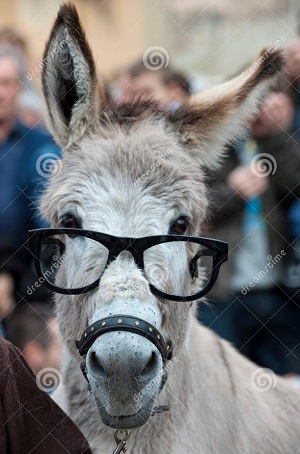 ezel niet gekregen | Farmerama NL